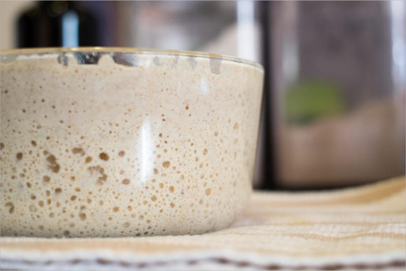 High(er) Hydration Sourdough Bread | The Perfect Loaf