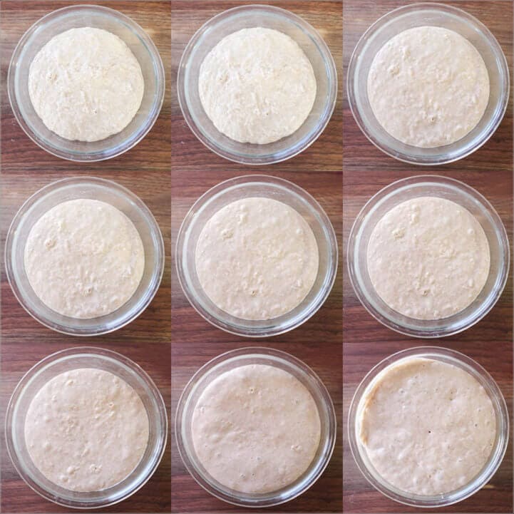 Ninety-Five Percent Whole Grain Sourdough | The Perfect Loaf
