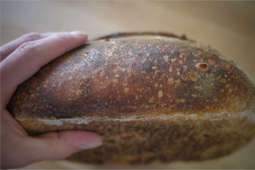 My Sourdough Bread with a "Young" Levain