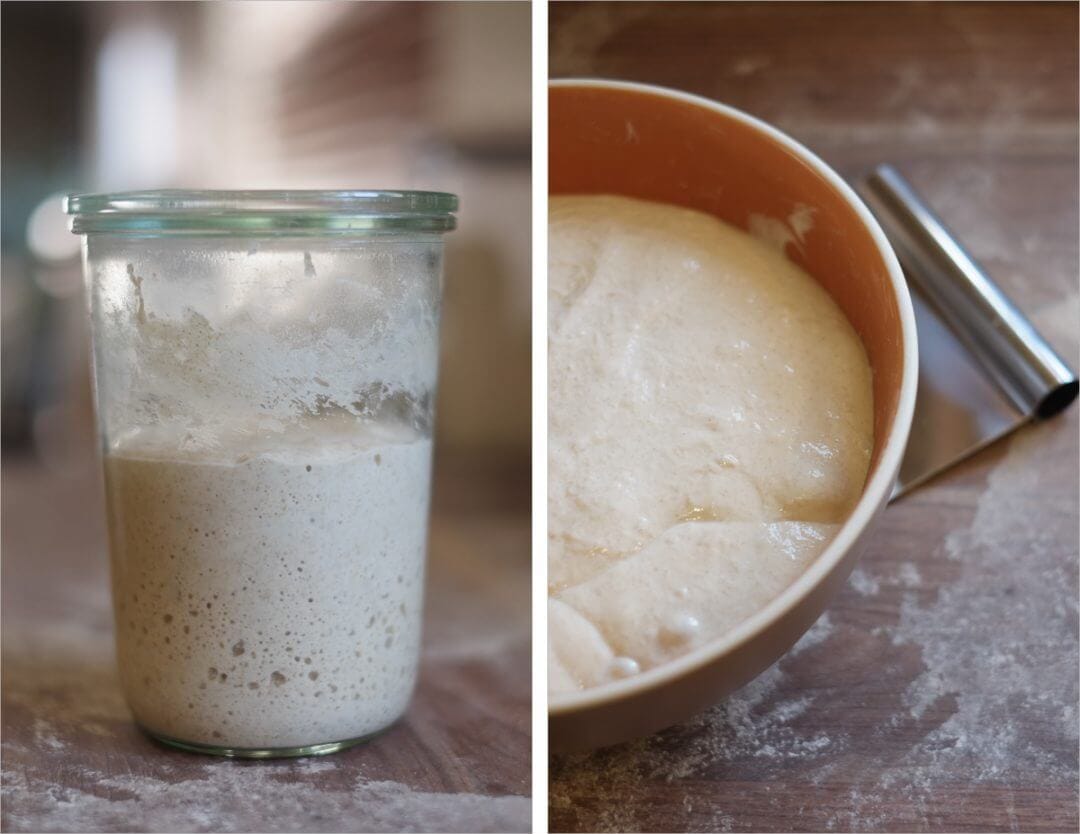 My Sourdough Bread with a "Young" Levain