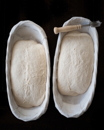 The Ultimate Guide to Proofing Bread Dough | The Perfect Loaf