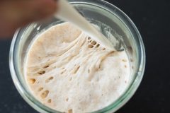 Sour Cherry, Toasted Pecan, and Buckwheat Levain | The Perfect Loaf