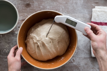 The Importance of Dough Temperature in Baking | The Perfect Loaf