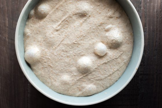 The Importance of Dough Temperature in Baking | The Perfect Loaf