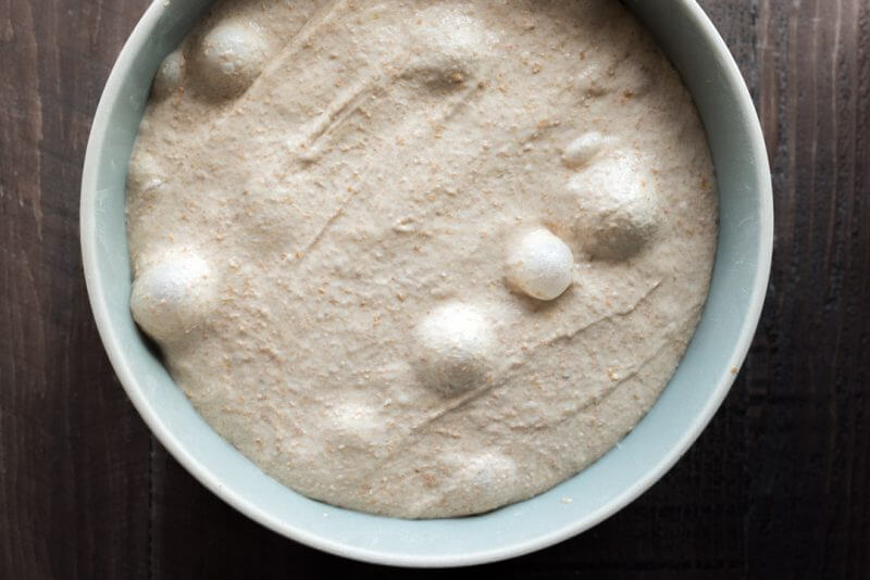 The Importance of Dough Temperature in Baking | The Perfect Loaf