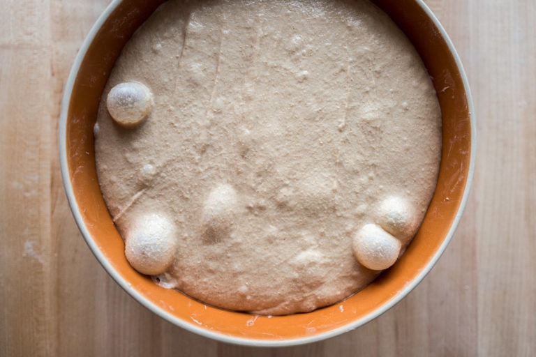 The Importance of Dough Temperature in Baking | The Perfect Loaf