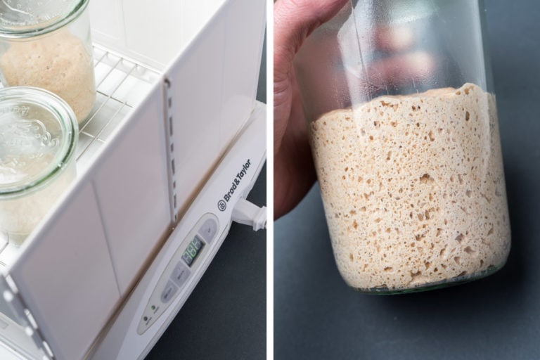 The Importance of Dough Temperature in Baking | The Perfect Loaf