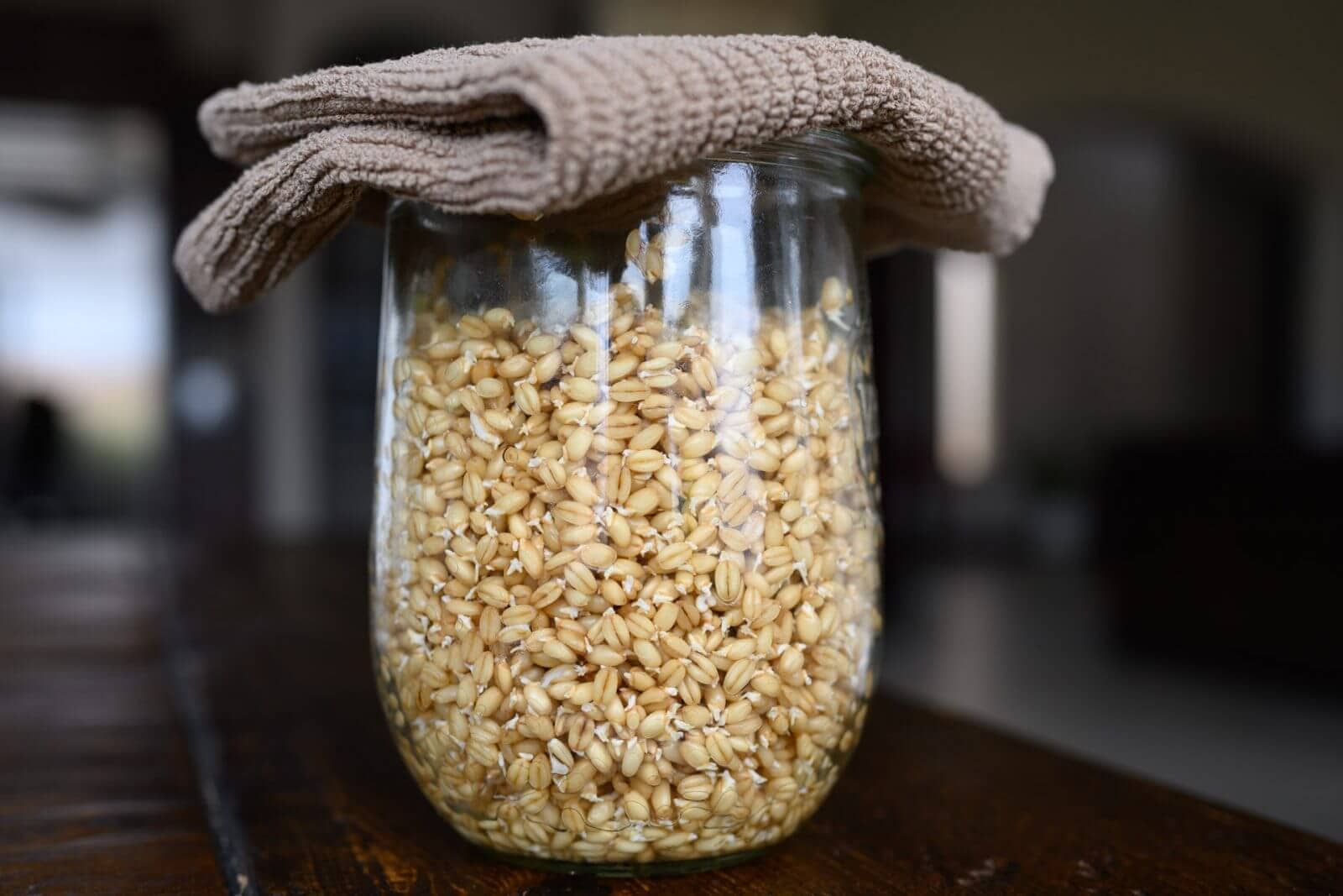Malted Wheat Sourdough Bread | The Perfect Loaf