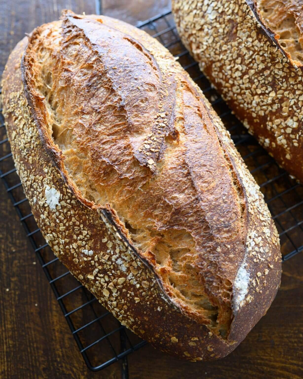 Spelt, Rye, and Whole Wheat Sourdough Bread | The Perfect Loaf