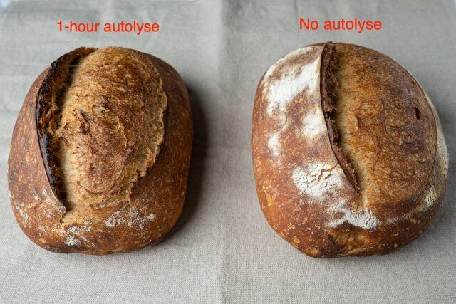 How To Autolyse | The Perfect Loaf