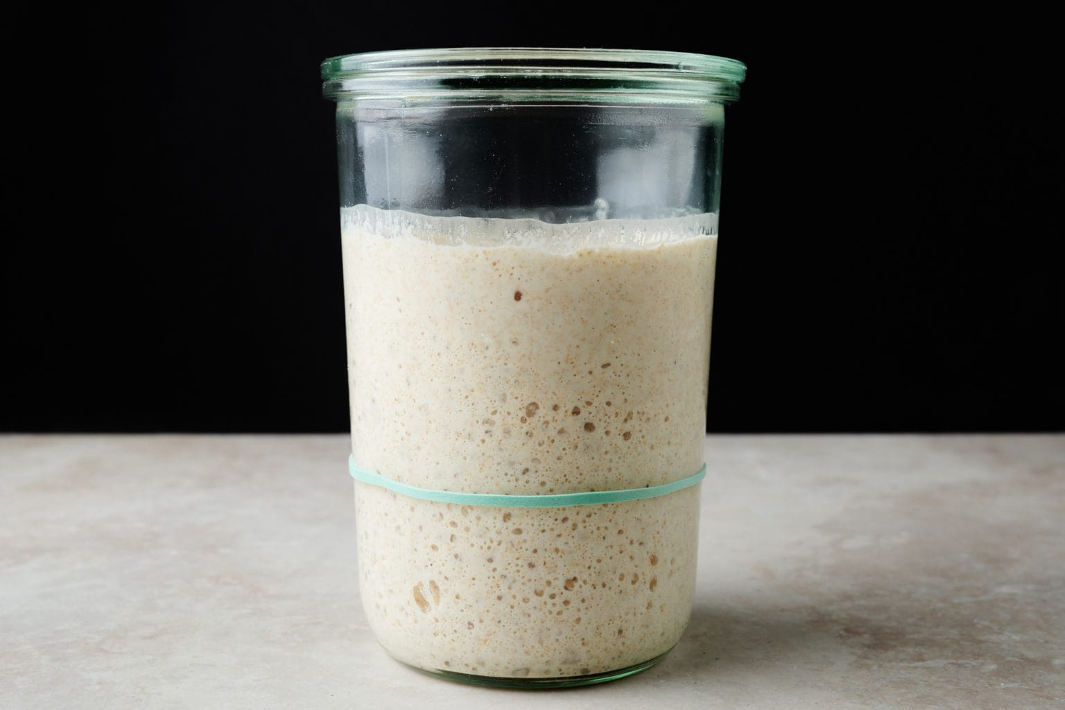 The Ultimate Sourdough Starter Guide | The Perfect Loaf