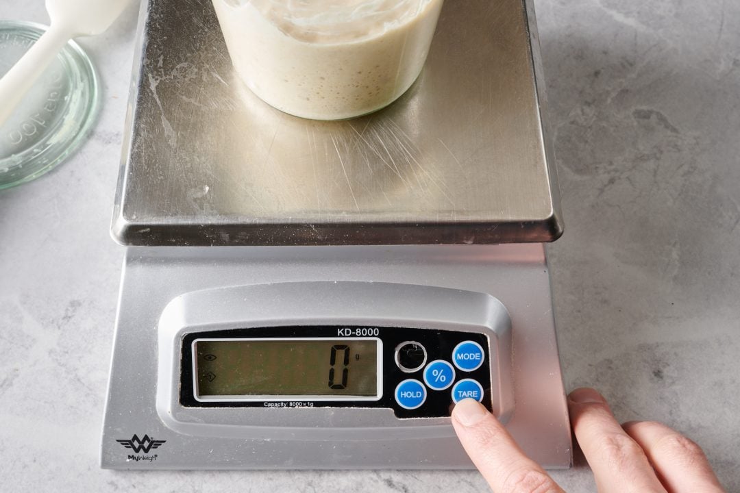 The Best Kitchen Scale for Making Bread | The Perfect Loaf
