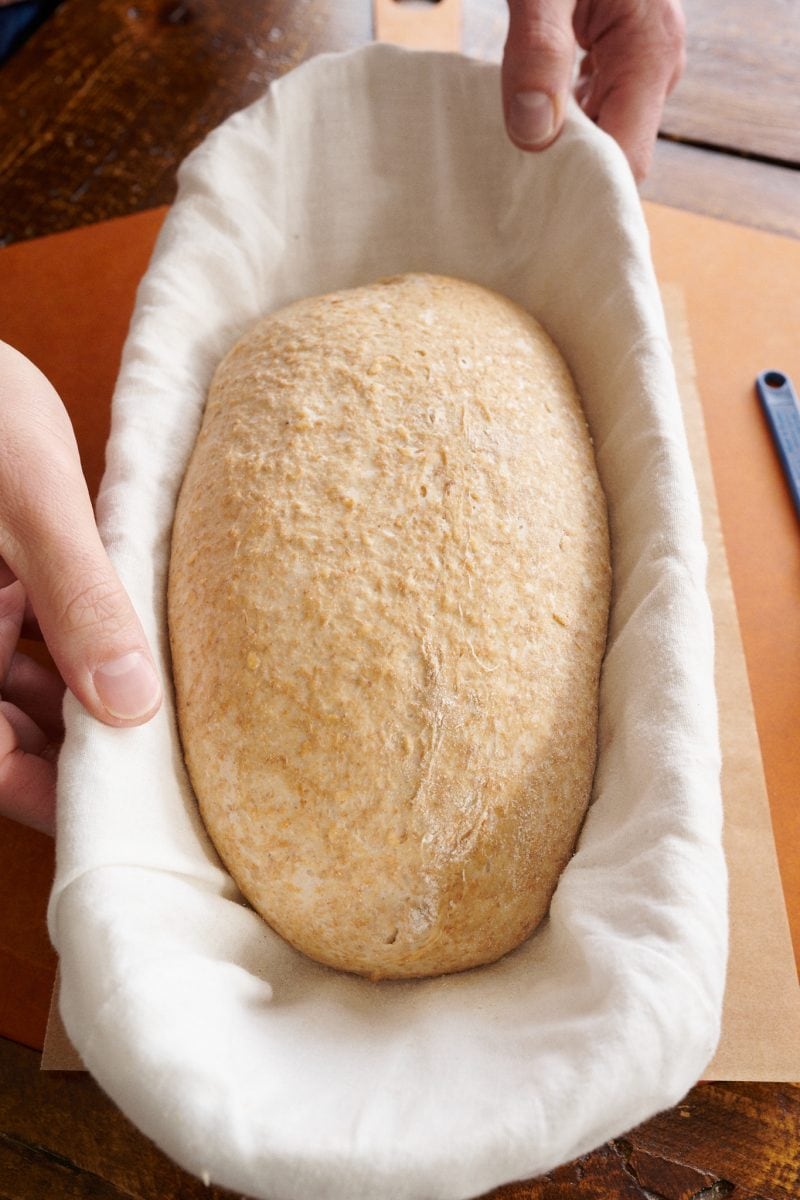 Kernza Sourdough Bread Recipe | The Perfect Loaf