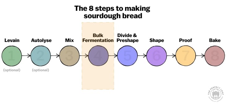 The Ultimate Guide to Bread Dough Bulk Fermentation | The Perfect Loaf The Ultimate Guide to Bread Dough Bulk Fermentation | The Perfect Loaf